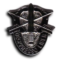 Buy Special Forces Lapel Pin | Flagline