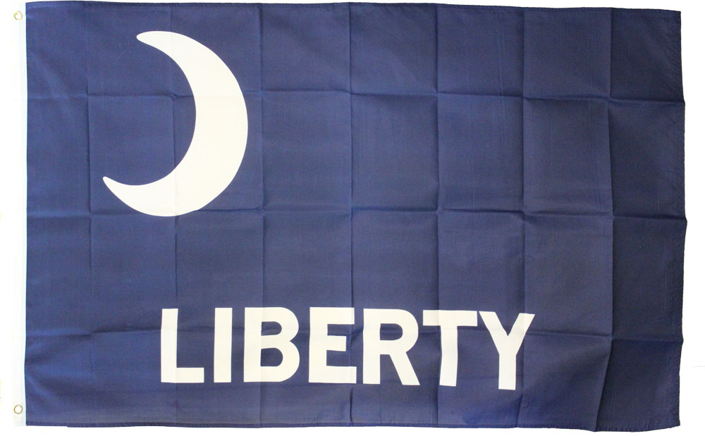 Buy Fort Moultrie - 3'X5' Polyester Flag | Flagline
